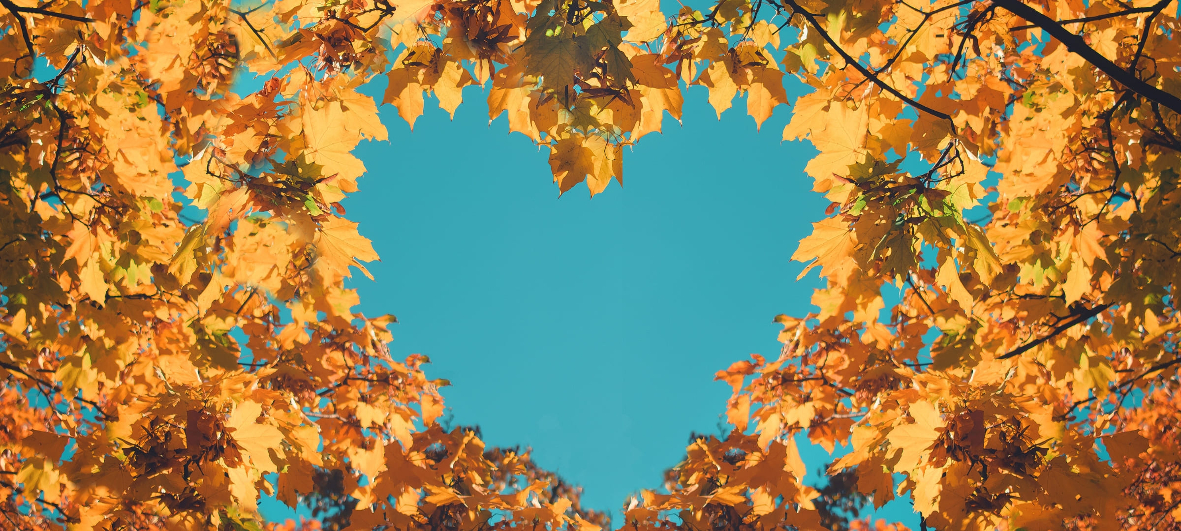 November 2026 Coach Holidays | Christmas Markets & Late Deals | Grand UK